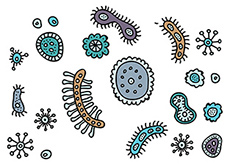 Bakteeri on ystävä - Apteekki