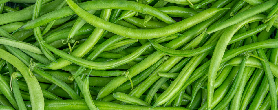 Papuja pöytään! - Apteekki